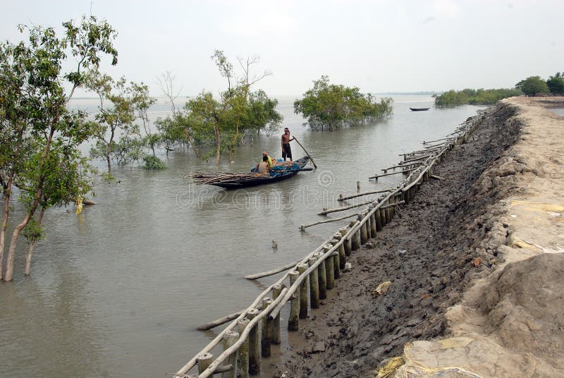 Embankment Problem in Sundarban Editorial Image - Image of colour ...