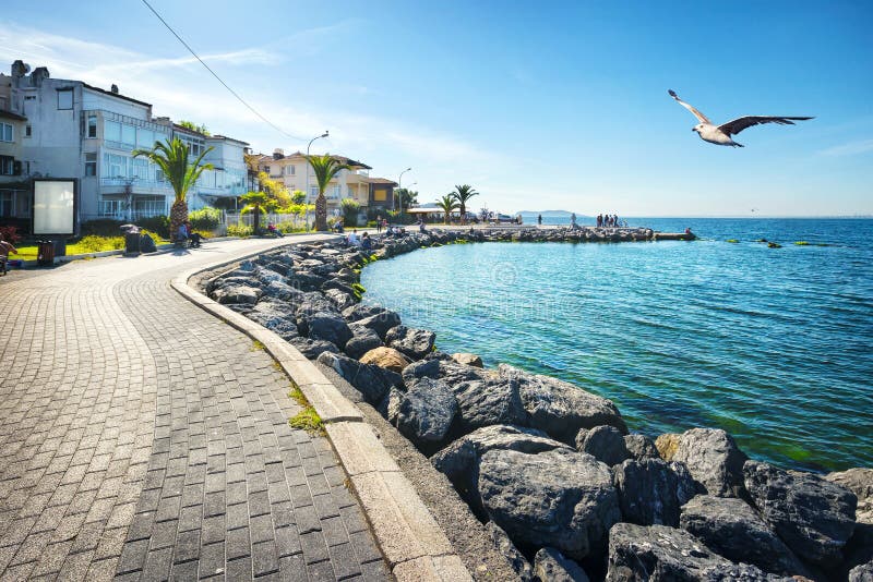 Embankment on Tropical Island Under Blue Sky Editorial Stock Image ...