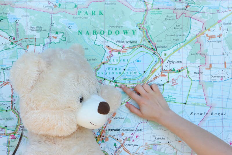 Embarking on an Exciting Journey through Nature with a Teddy Bear and a ...