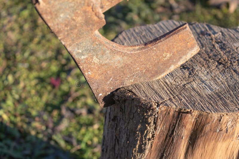 Embedded axe in cut log stock photo. Image of splitting - 137441692