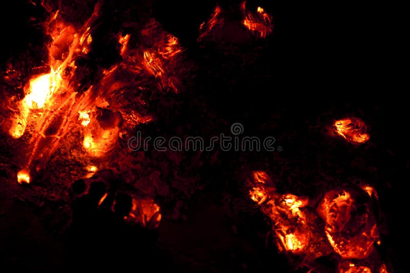 Firebone Photos - Free & Royalty-Free Stock Photos from Dreamstime