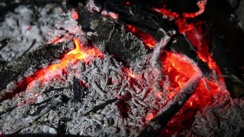 Closeup of Fading Campfire stock footage. Video of night - 60640206