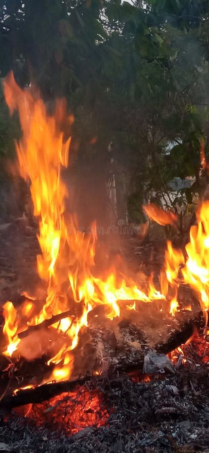 Embers of a Big Burning Fire in the Morning Stock Image - Image of ...