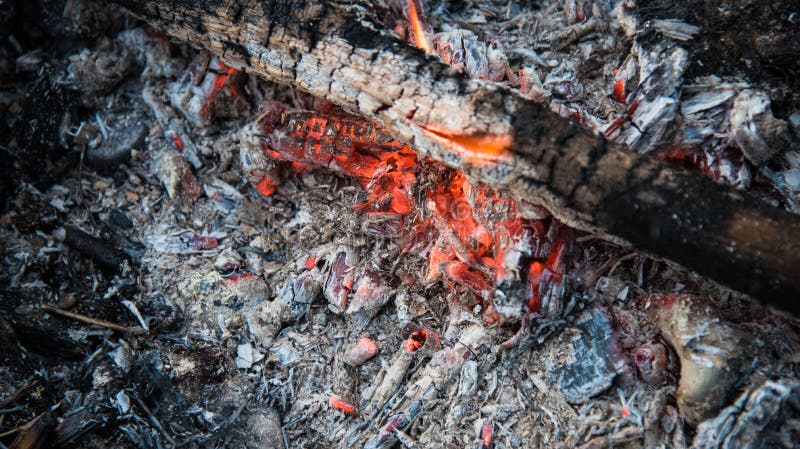 Embers in the Fire. Dry, Thin Branches Were Added To the Fire. Stock ...