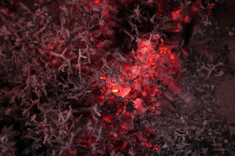 10,415 Ash Embers Stock Photos - Free & Royalty-Free Stock Photos from ...