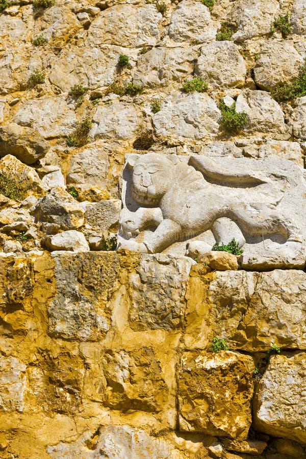 Emblema Real De Sultan Baybars Foto de Stock - Imagem de terra, blazon ...