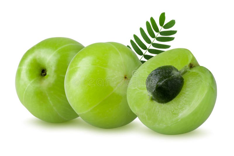Emblic Indian Gooseberry Leaves Isolated White Background Stock Photos ...
