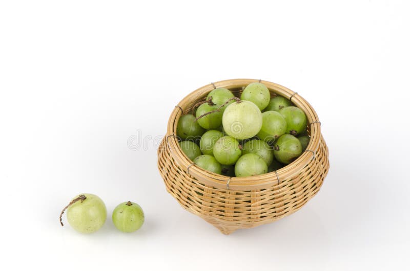 Emblic Myrablan, Malacca Tree (Phyllanthus Emblica L.) Stock Photo ...