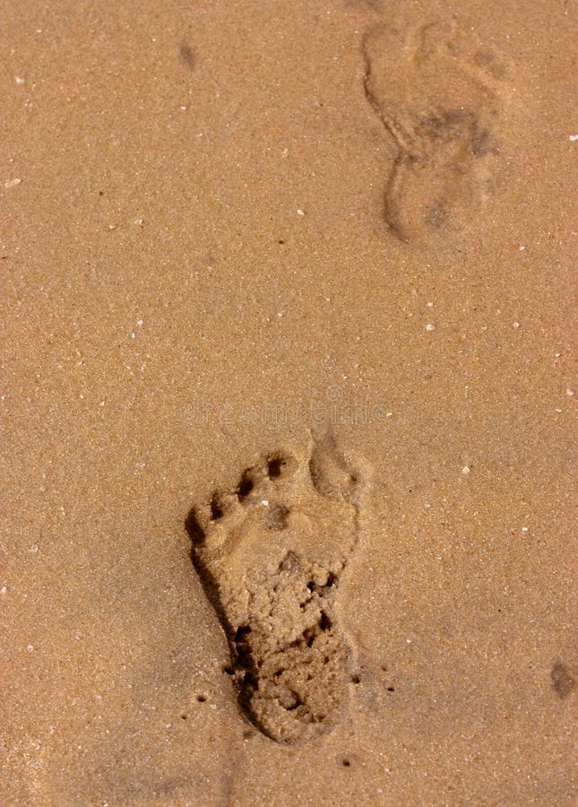 Embossed footprint stock photo. Image of print, sign, sand - 4837386