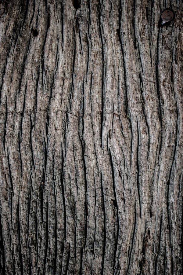 Embossed Texture of the Brown Bark.Tree Bark Texture. Seamless Bark ...
