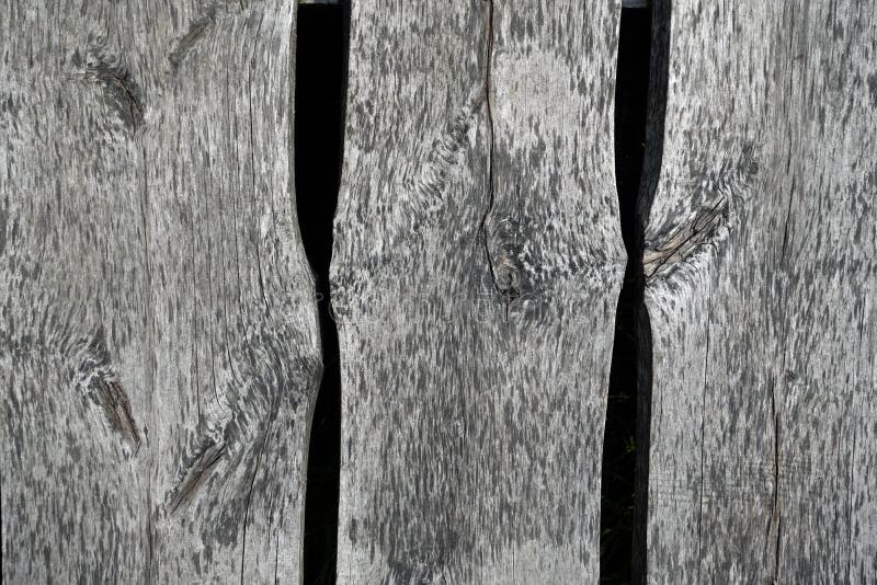 Embossed Wood Texture Outdoors. Knots and Annual Layers. Su Rface ...