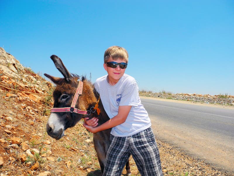 Donkey Hug Stock Photos - Free & Royalty-Free Stock Photos from Dreamstime