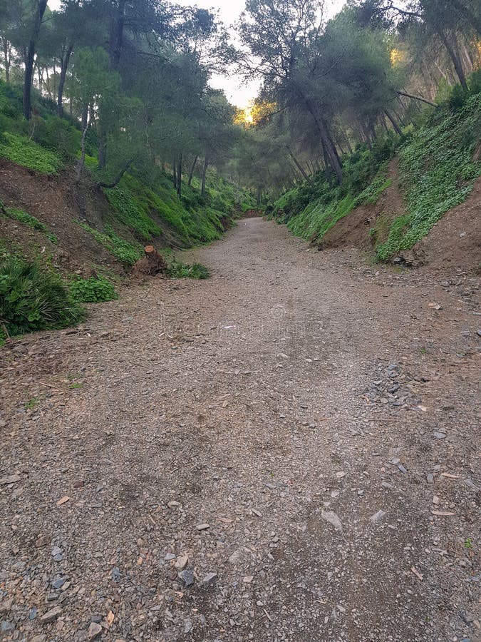 Embrace the Untamed Beauty of the Wild Cliffs Footpath Stock Image ...