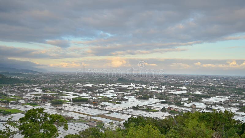 Embracing Spring: Yilan Rice Fields in Soft Light. Stock Video - Video ...