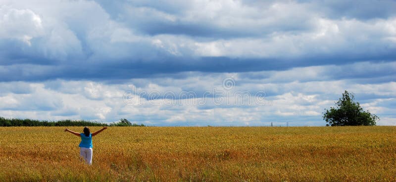 Embracing summer stock photo. Image of summer, meadow - 5806808
