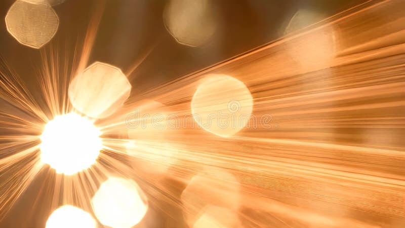 Embracing Warmth and Brilliance from Radiant Rays that Dance in Golden ...