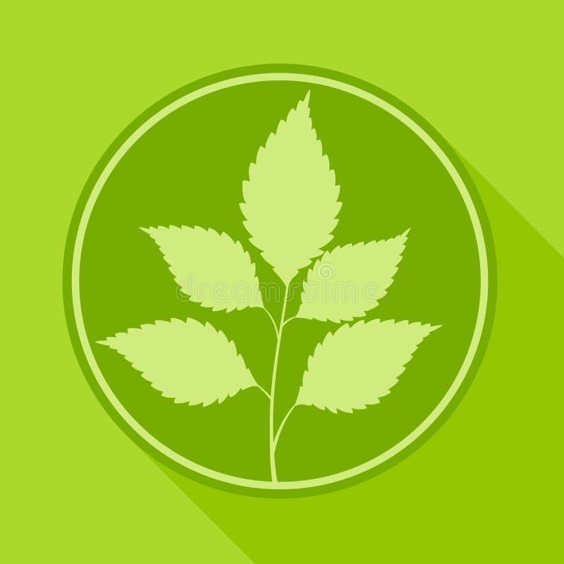 Embranchez-vous Avec Des Feuilles Dans Rond Sur Le Vert Illustration de ...