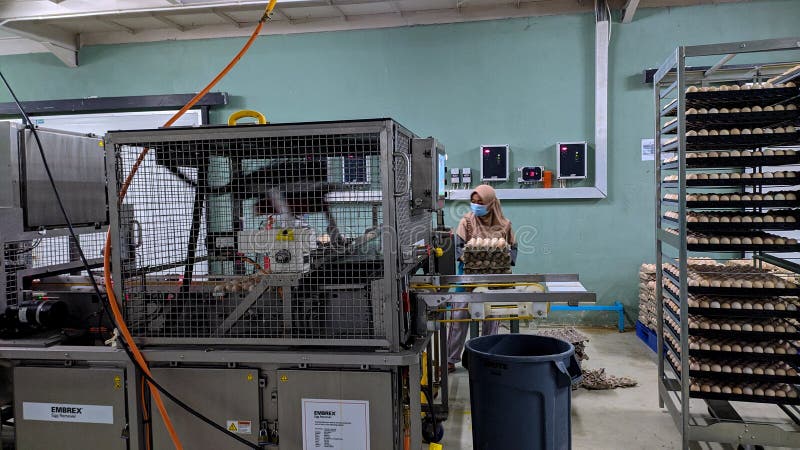 Embrex Machine Manufacturing for Candling and Injection Clean-egg ...