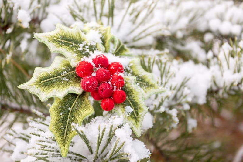 Stumpwork Stock Photos - Free & Royalty-Free Stock Photos from Dreamstime