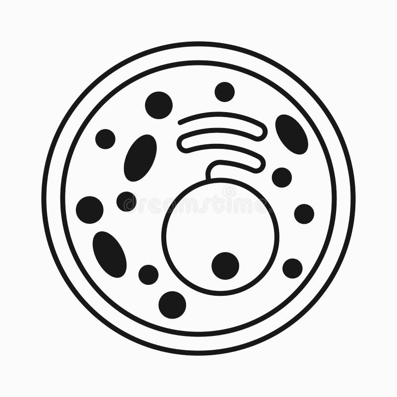 Embryo icon stock illustration. Illustration of embryo - 252949027