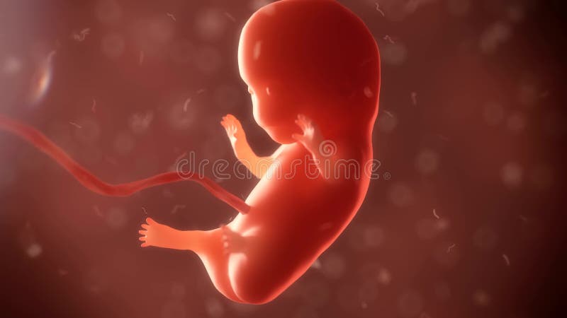 Snowflake Frost stock photo. Image of real, blue, hoarfrost - 60775682