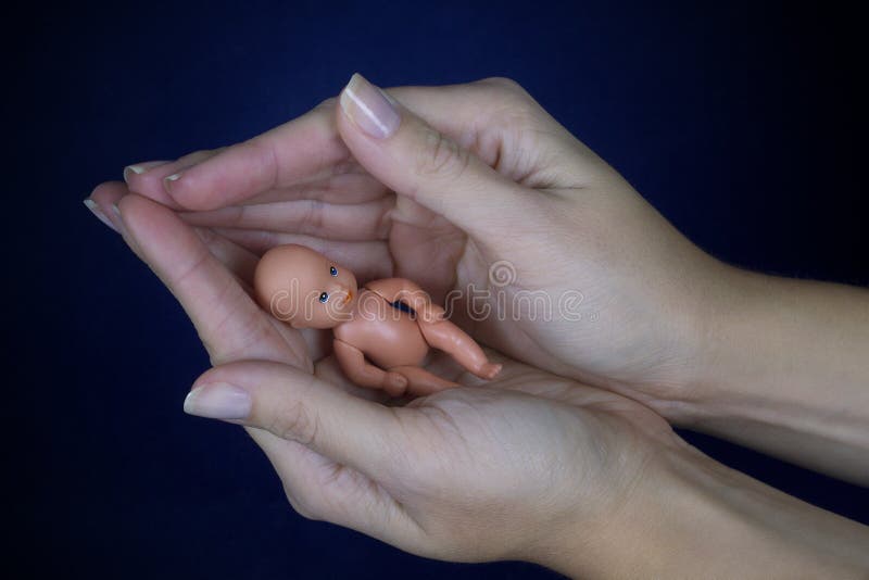 The Embryo in a Woman S Hands. Concept Embryo, Abortion Stock Photo ...