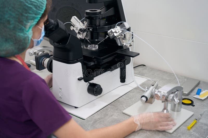 Embryologist Assistant Under Microscope Carries Out Fertilization of ...