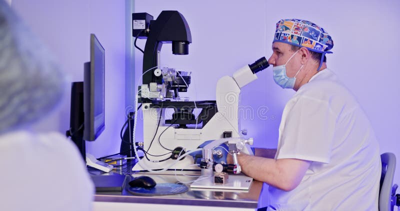 Embryologist Performing Artificial Fertilization in Laboratory Stock ...
