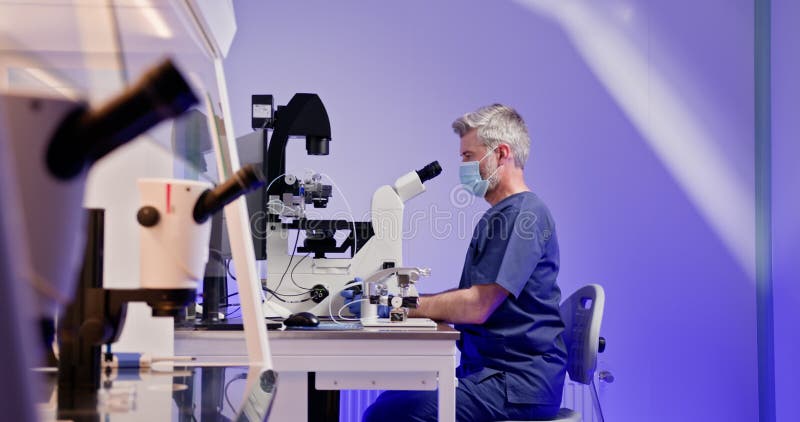Embryologist Conducts Artificial Fertilization of a Human Egg Using a ...