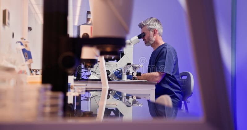 Embryologist Performing Artificial Fertilization in Laboratory Stock ...