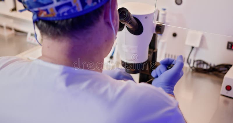 An Embryologist Conducts an in Vitro Fertilization IVF Procedure in a ...