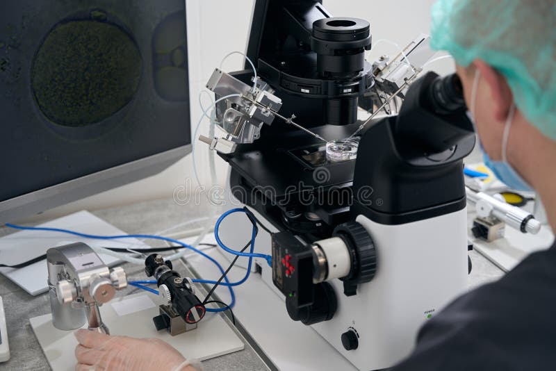 Embryologist in Embryo Unit for Procedure of Fertilization of Egg Stock ...