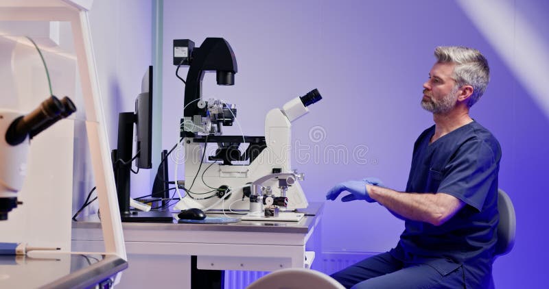 Embryologist Performing Artificial Fertilization in Laboratory Stock ...
