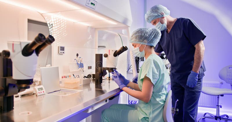 Embryologist Performing Artificial Fertilization in Laboratory Stock ...