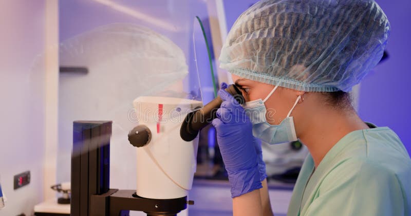 Embryologist Performing Artificial Fertilization in Laboratory Stock ...