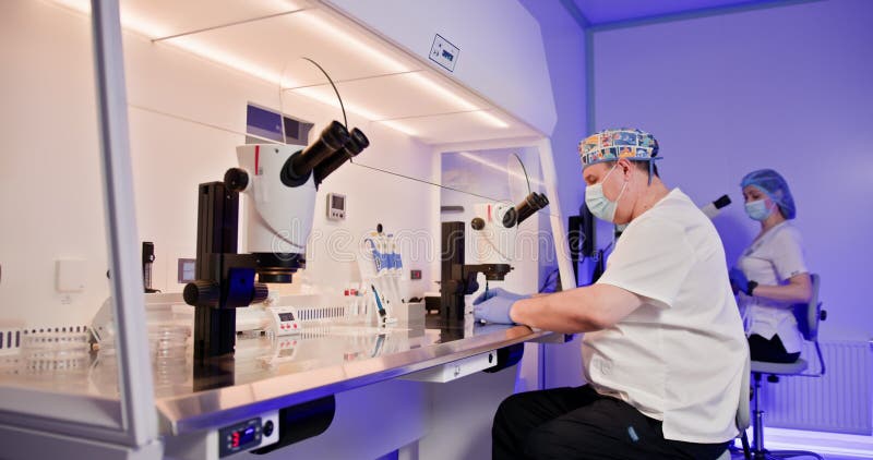 Embryologist Performing Artificial Fertilization in a Laboratory Stock ...