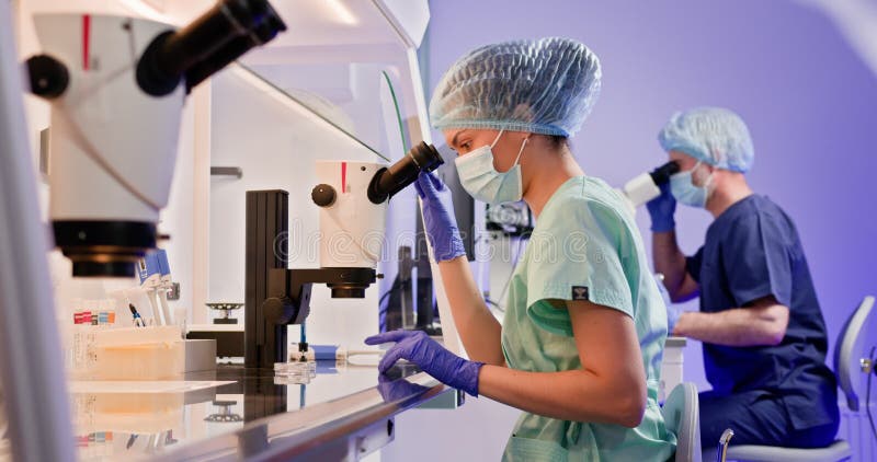 Embryologist Performing Artificial Fertilization in Laboratory Stock ...