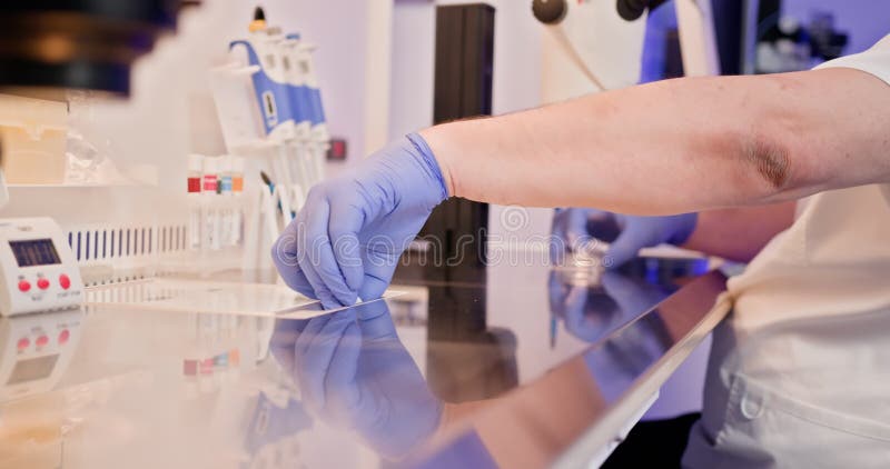 Embryologist Performing Artificial Fertilization in Laboratory Stock ...