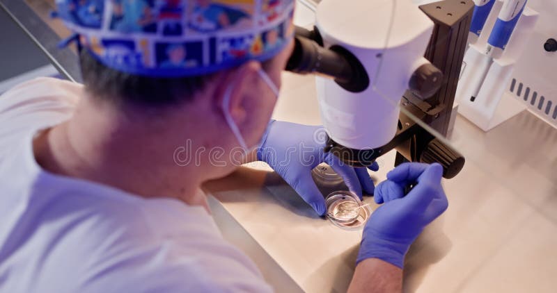 Embryologist Performing in Vitro Fertilization Procedure in Laboratory ...