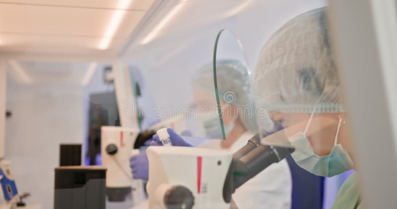 Embryologist Conducting IVF Procedure in Modern Laboratory Stock ...