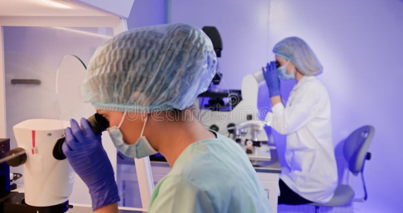 Embryologist Conducting IVF Procedure in Laboratory Stock Video - Video ...