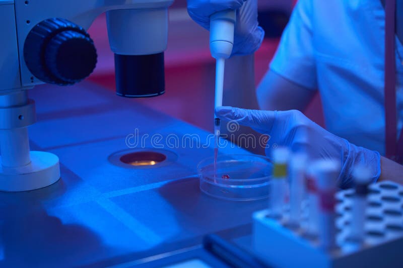 Female Embryologist at Workplace in Cryo Lab Stock Photo - Image of ...