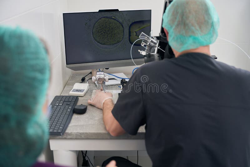 Embryologists Carry Out the Fertilization of an Egg Stock Image - Image ...