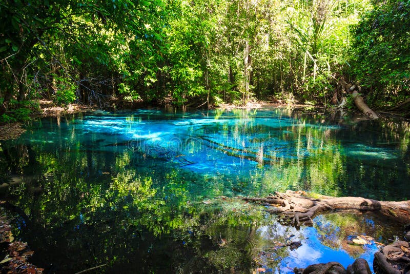 Emerald blue natural Pool stock image. Image of amazing - 51988531