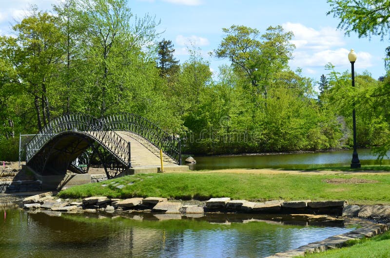 Emerald bridge stock photo. Image of green, park, landscape - 105136518