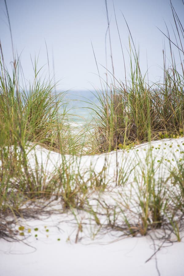 The Emerald Coast and Beach Stock Photo - Image of mexico, green: 53243610