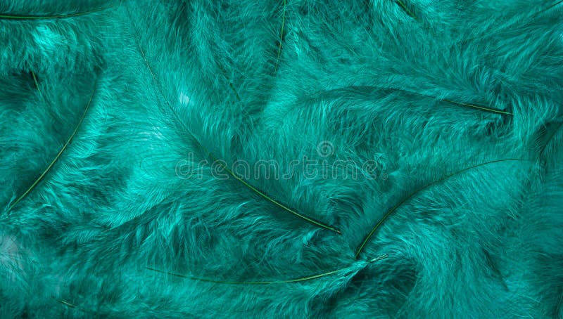 The Emerald-colored Feathers are Evenly Distributed Over the Surface ...