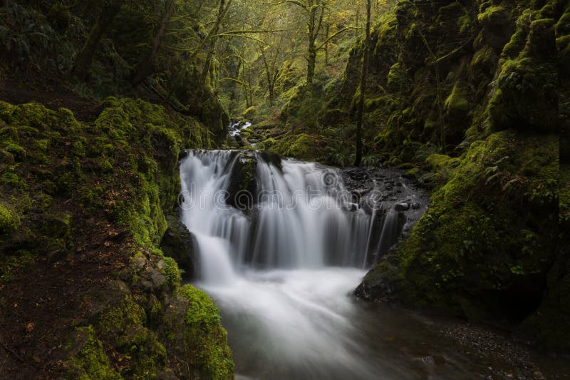 Emerald Falls Along Gorton Creek in Oregon Stock Photo - Image of ...