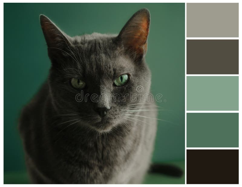 Emerald Color Palette | atelier-yuwa.ciao.jp Emerald Color Palette | atelier-yuwa.ciao.jp