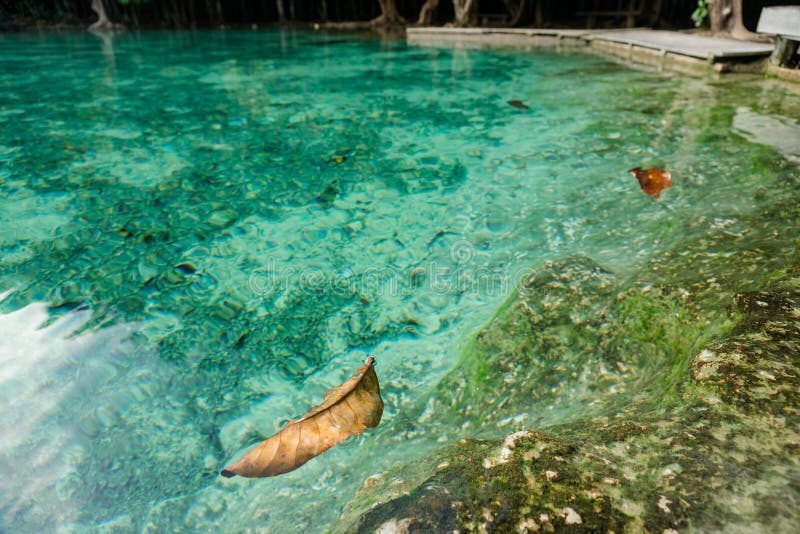 Emerald Green Pool in Thailand. Stock Image - Image of outdoor ...